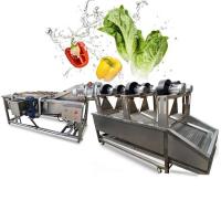 China ISO9001 Fruit And Vegetable Processing Line , Air Bubble Washing Machine for sale