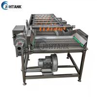 China SUS304 Bubble Washer For Fruit And Vegetable Processing Line for sale