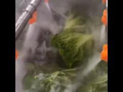 Fish Shrimp Oysters Carrots Vegetables Washing Machine 500kg/H
