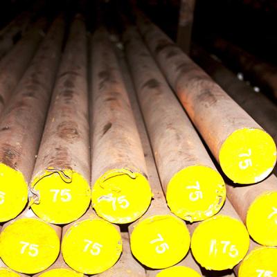 Cina Il tondino laminato a caldo dell'acciaio per utensili della lavorazione a freddo di D3 /1.2080 /SKD1 esr per muore in vendita