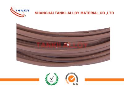 China ANSI Extension Single Type T Thermocouple Wire 2*0.2mm With PTFE Insulation for sale