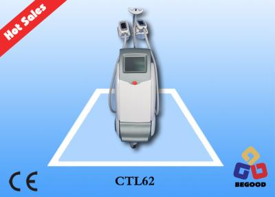 Cina crioterapia 110V/220V che dimagrisce macchina per il congelamento delle celluliti in vendita