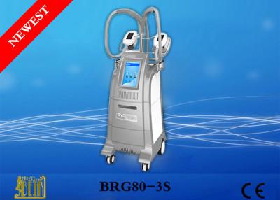 Cina Rimozione grassa a macchina scolpente fresca non dilagante delle celluliti con lo schermo a 10.4 pollici in vendita