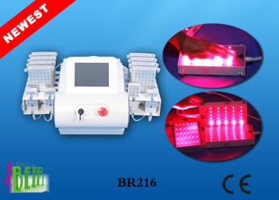Cina laser di 400W Lipo che dimagrisce macchina per riduzione delle celluliti del corpo con 12 cuscinetti in vendita