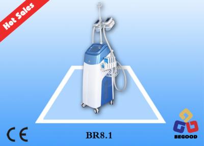 Cina Doppio Cryolipolysis tratta l'attrezzatura grassa di riduzione del laser di Lipo con due radiatori in vendita