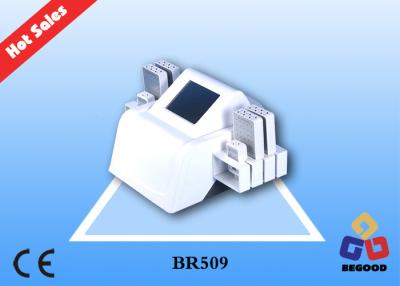 Cina Attrezzatura grassa di bellezza di riduzione del laser di Lipo con energia di laser a diodi regolabile in vendita