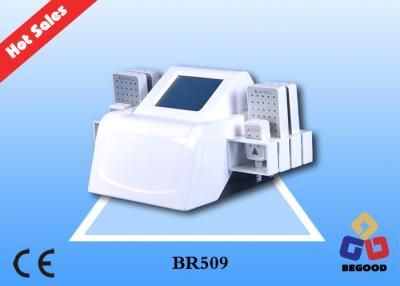 Cina 50Hz - laser di 60Hz Lipo che dimagrisce la macchina di riduzione celluliti/della macchina con i diodi di rame del sistema 168 del cilindro in vendita