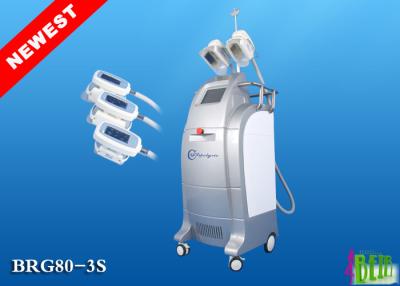 Cina Nuova macchina scolpente fresca migliore della maniglia di Cryolipolysis con l'accoppiamento della dimensione del cuscinetto di Cryo in vendita
