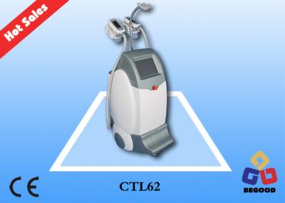 Cina Crioterapia a 8 pollici del touch screen di colore che dimagrisce crioterapia di congelamento di rimozione delle celluliti della macchina in vendita