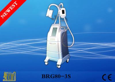 Cina macchina di Coolsculpting del consumo di energia 800W con due efficaci radiatori/macchina grassa di riduzione in vendita