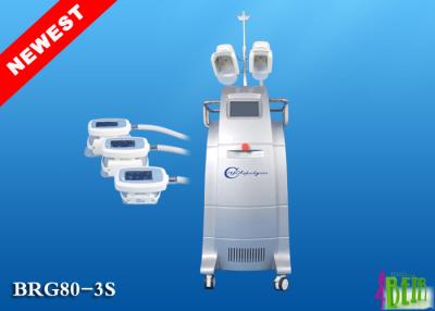 Cina macchina di congelamento grassa delle celluliti di pressione di vuoto 0-100KPa con le maniglie doppie di Cryolipolysis in vendita