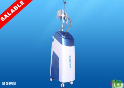 Cina Il cryo doppio tratta la macchina di CoolSculpting per la dissoluzione/perdita di peso BS-M8 del grasso in vendita