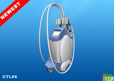 Cina 4S raffreddano scolpire l'ente a macchina dei diodi di Cryolipolysis Lipolaser 104 che modella l'attrezzatura di bellezza in vendita
