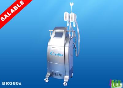 Cina Macchina di dimagramento scolpente fresca/crioterapia di rimozione delle celluliti della pancia che congela sistema grasso in vendita