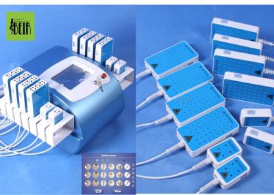 中国 脂肪質の取り外しのための機械を細くする BEIR 336 のダイオードの Lipo レーザー 販売のため