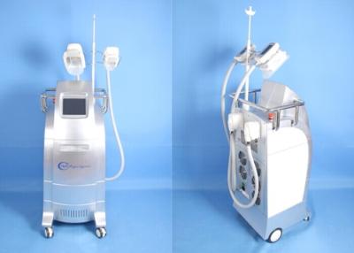 Cina 3S CryoShape Cryolipolysis che dimagrisce macchina/Coolshape o che congela la macchina del grasso in vendita