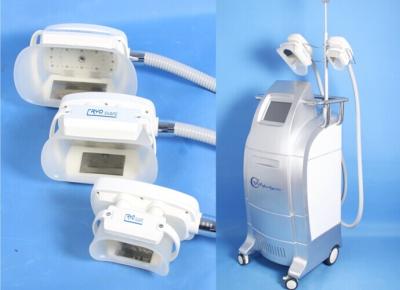 Cina Cryolipolysis che dimagrisce macchina, macchina di congelamento grassa di Cryolipolysis di 3 maniglie/macchina di Cryolipolysis/cryolipolysis in vendita