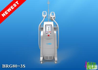 Cina Innaffi l'ente liquido Cryoshape della prova 3S Coolsculpting che dimagrisce per il salone in vendita