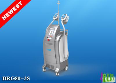 Cina Salone di BEIR 3S che dimagrisce la macchina del grasso di Coolsculpting Lipofreezing in vendita