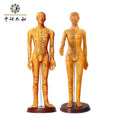 China Modèle d'acupuncture avec articulations flexibles pour apprendre la structure du corps for sale