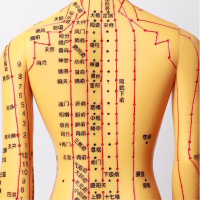 China Approximately 5kg Acupuncture Body Model For Safety Efficiency for sale