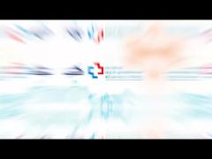 GB2024-2016 βελόνες βελονισμού από ανοξείδωτο χάλυβα για ομορφιά προσώπου και κινεζική ιατρική