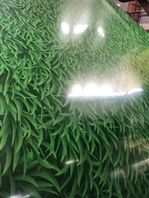 中国 カラー塗装コイル：材料を根幹とし、特性を活かして用途の秘密を解き明かす 販売のため