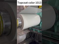 Coil di acciaio PPGI personalizzabili Coil di ferro galvanizzato preverniciato duraturo per tetti