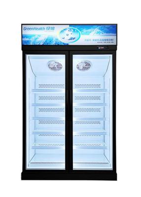 China Customizable Commercial Deep Refrigerator Upright Freezer From Original Manufacturer for sale