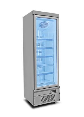 China Commercial Upright Display Freezer 444L 750w Bottom Mount for sale