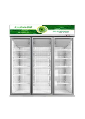 Китай Специализированная коммерческая стеклянная дверь отображения охладитель для напитка вина 1000L продается