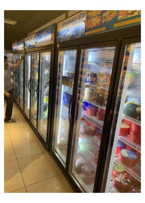 Cina 444L Commercial Display Freezer Multi Glass Door Fridge Multifunzione in vendita