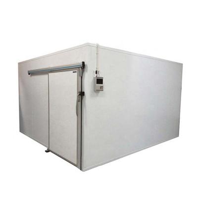 China R404a Refrigerant Home Cold Storage Room Sliding Door For Shrimp for sale