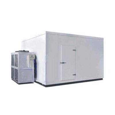 China Advanced Customized Cold Storage Room Of Fruits And Vegetables For Optimal Freshness for sale
