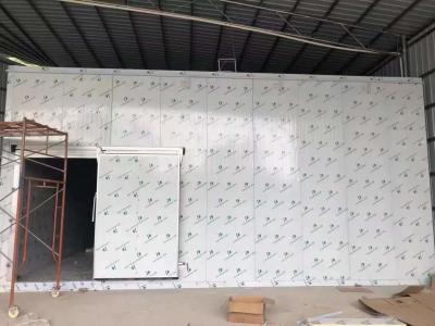 China High-Performance Polyurethane PU Sandwich Panels For Cold Storage Rooms Walk In Freezer for sale