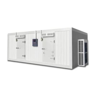 China Customizable Cold Room Walk-In Freezer With Durable Insulation Panels for sale