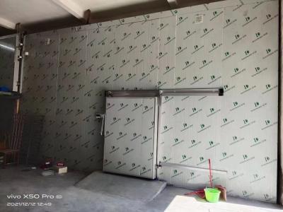 China Cold Chain Storage Solutions Low Noise Walk-in Freezer High-Capacity Freezer Room for sale