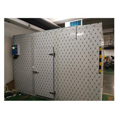 China Customized Cold Storage Room Factory Refrigerated And Frozen Storage Of Food / Beverages / Vegetables Cold Storage for sale