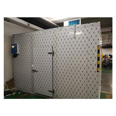 China Large Low-Temperature Fruit / Vegetable / Milk / Food Storage Cold Room for sale