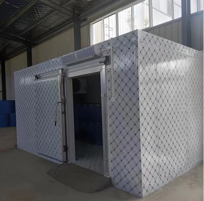 China Bulk Storage Cold Storage Room Walk-In Cold Rooms With Cold Room Refrigeration System for sale