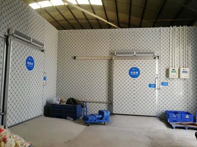 China Bulk Storage Cold Storage Room Walk-In Cold Rooms With Cold Room Refrigeration System for sale