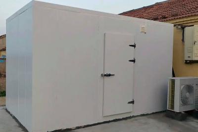 China PU Insulation Panel and Air Cooler Evaporator Fish Storage Freezer for Your Business Needs for sale
