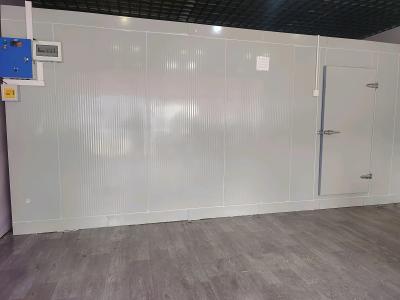 China Customizable Size Cold Room Walk In Freezer With PU Panel And Condenser Unit for sale
