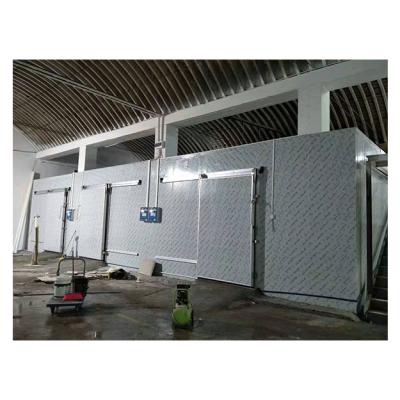 China Large Commercial Supermarket Fruit/Vegetable Frozen And Refrigerated Storage Cold Storage for sale