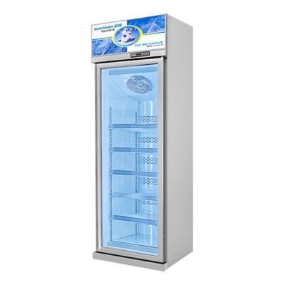 China Convenience Store Single Door Commercial Refrigerated Storage Display Freezer for sale