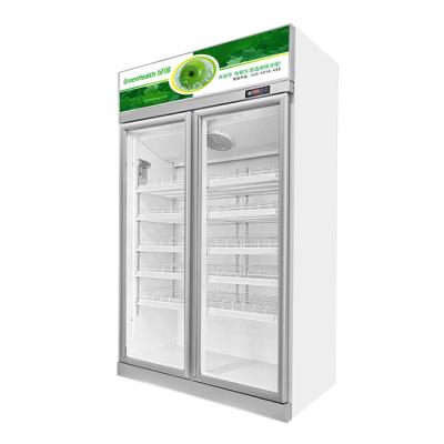 China Economy Beverage Refrigerated Storage Display Freezer With Two Glass Doors for sale