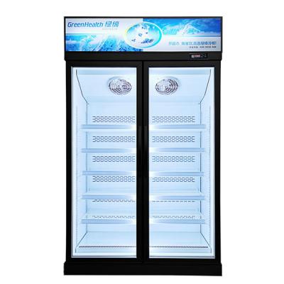 China Convenience Store Two Door Refrigerated Storage Display Freezer Fridge for sale