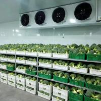 China Customized Big Capacity Cold Storage Room Warehouse For Poultry Meat Process for sale