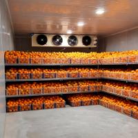 China Customized Big Capacity Cold Storage Room Warehouse For Poultry Meat Process for sale