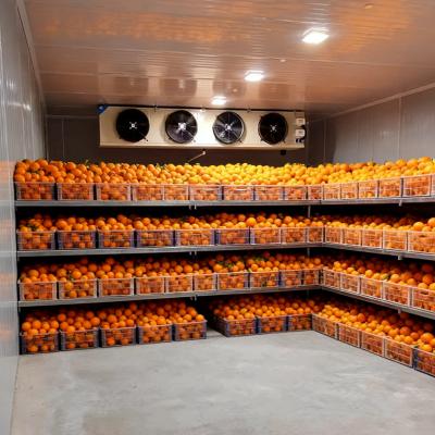 China Customized Big Capacity Cold Storage Room Warehouse For Poultry Meat Process for sale